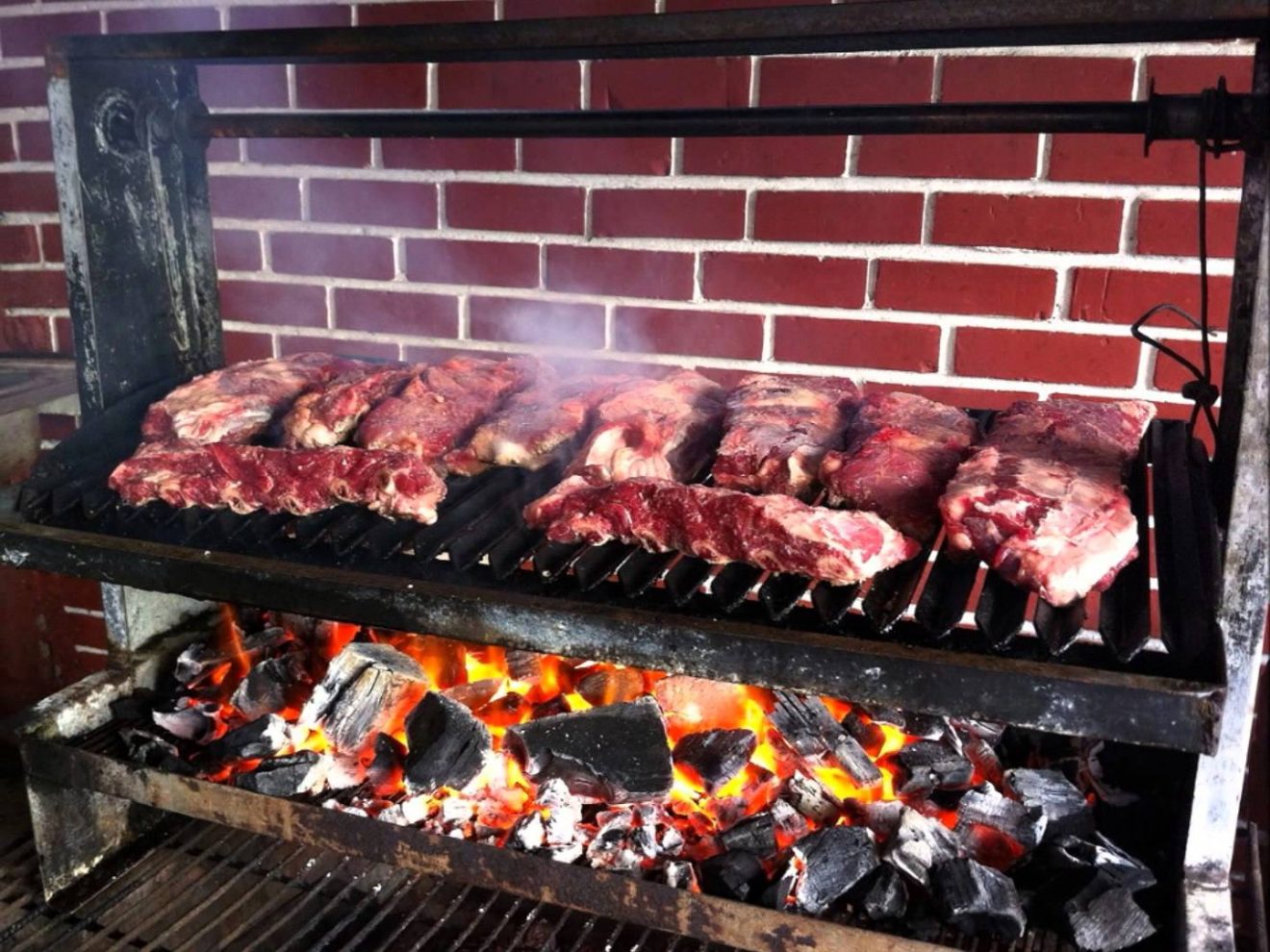Mini curso para un buen Asado - Cursos Guia